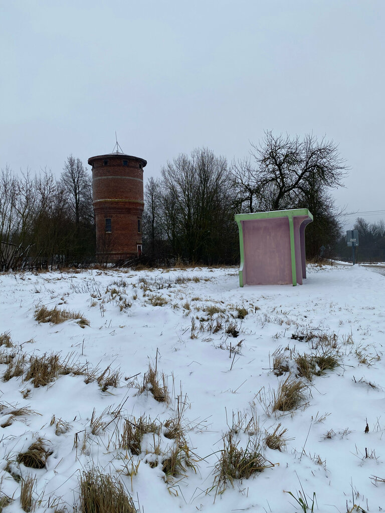 Toplu taşıma durağı Asinawka, Vitebskaya oblastı, foto