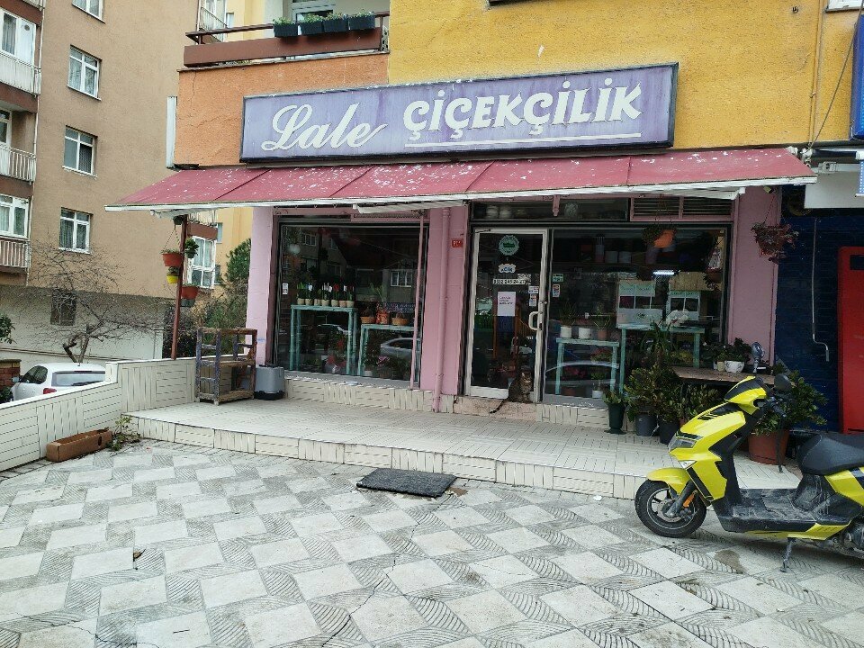 Çiçekçiler Lale Çiçekçilik, İstanbul, foto