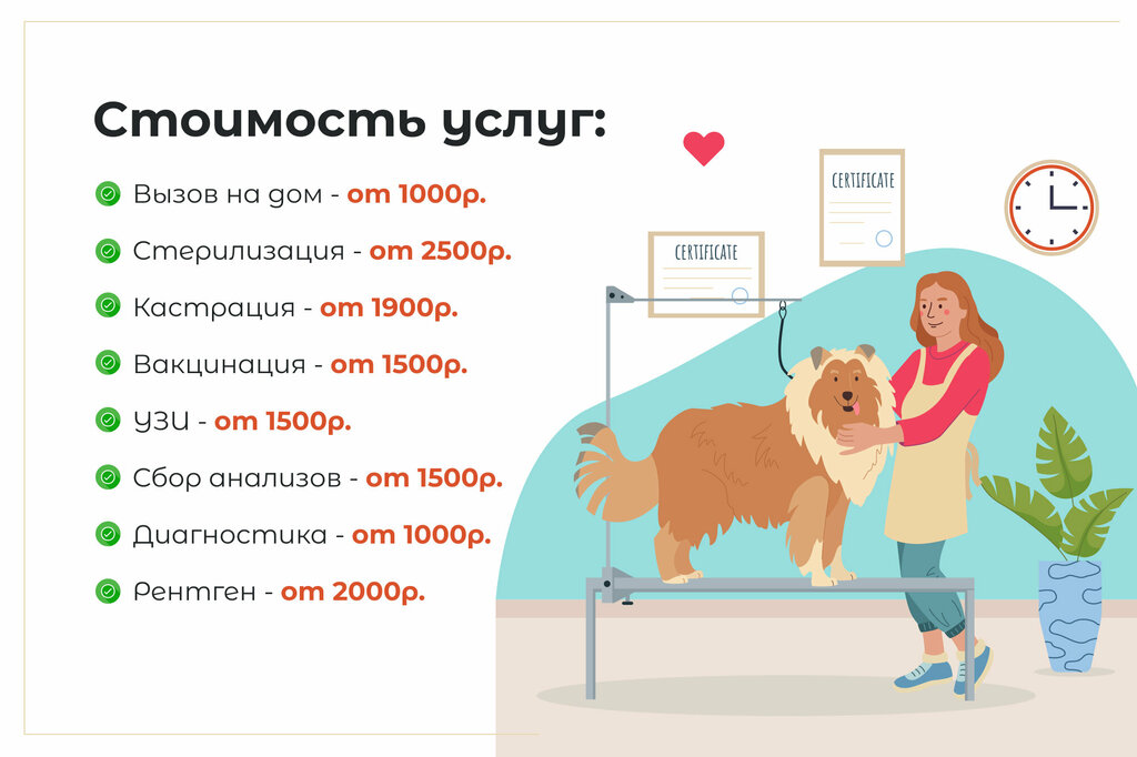 Veteriner klinikleri Мульти-Вет, Troitsk, foto