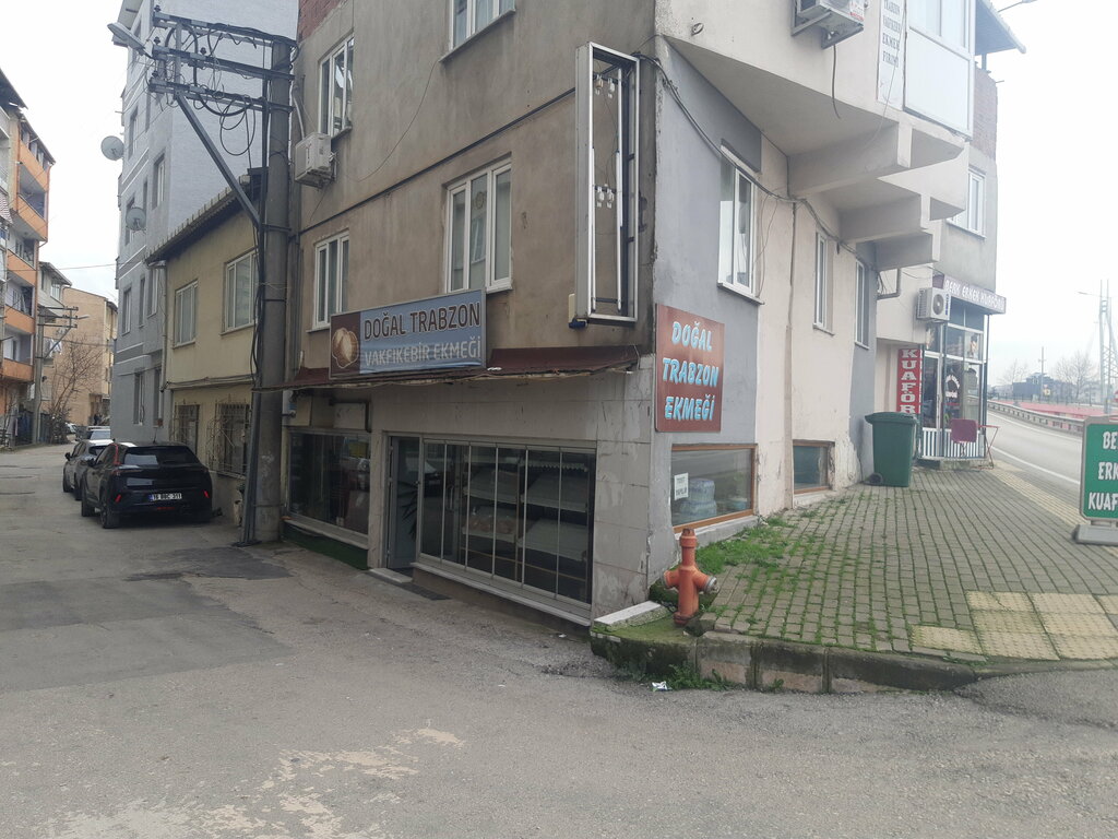 Ekmek fırını Doğal Trabzon Vakfıkebir Ekmeği, Bursa, foto