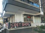 Ezgi Pet Shop (Antalya, Muratpaşa, Güzeloba Mah., 2211. Sok., 2A), petshop  Antalya'dan