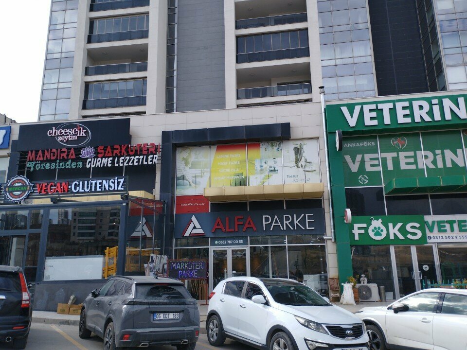 Yapı mağazası Alfa Parke, Ankara, foto