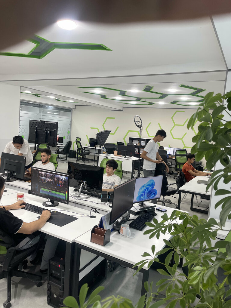 Bilişim firmaları CodeVision, Cizzak, foto