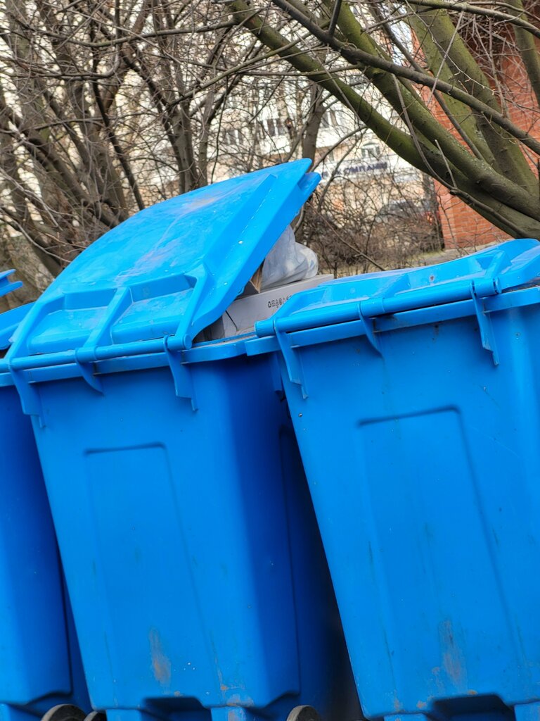 Çöp alanları Trash and garbage disposal area, Saint‑Petersburg, foto
