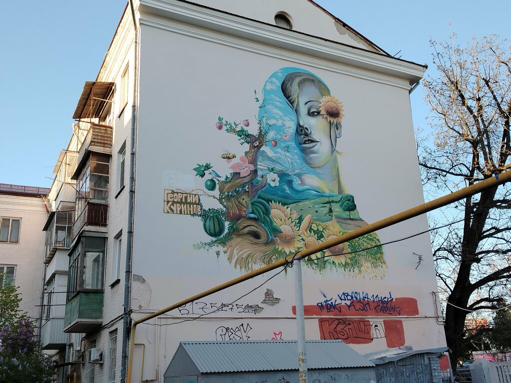 Sokak sanatı Девушка с подсолнухами, Krasnodar, foto