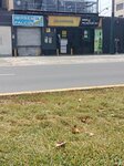 Distribuidora La Cazería (Distrital Miraflores, El Rosedal, Avenida Alfredo Benavides, 5387), bar  Lima Bölgesi'nden