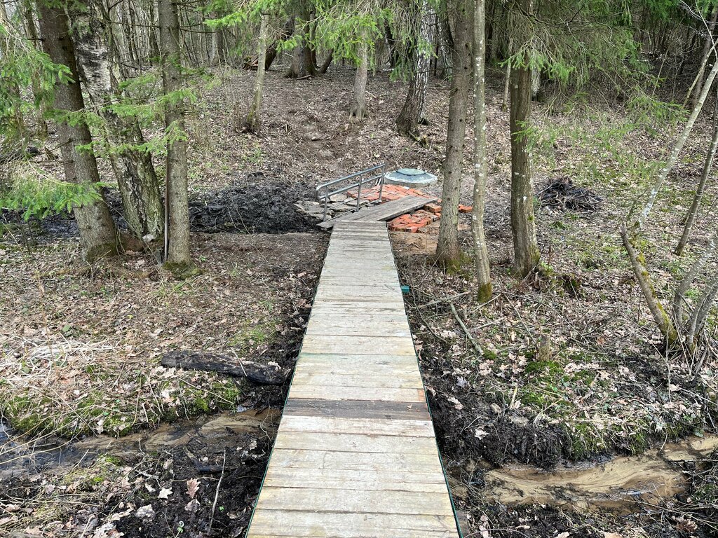 Pınar, çay Spring, stream, Moskova ve Moskovskaya oblastı, foto