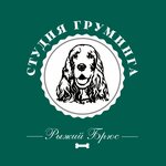 Рыжий Брюс (No:2, mikrorayon Olimpiyskoy slavy, selo Kamenka), evcil hayvan kuaförleri  Novosibirskaya oblastından