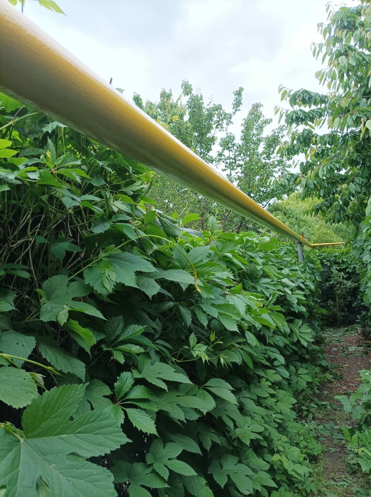 Doğal gaz hizmetleri Krasnodargorgaz, podrazdeleniye, Krasnodar, foto