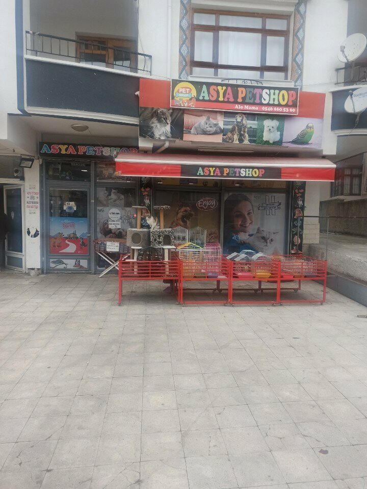 Petshop Asya Petshop, Ankara, foto