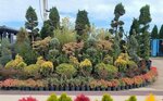Bitkim Benim (Sakarya, Arifiye, Zübeyde Hanım Cad., 182), peyzaj tasarımı  Arifiye'den