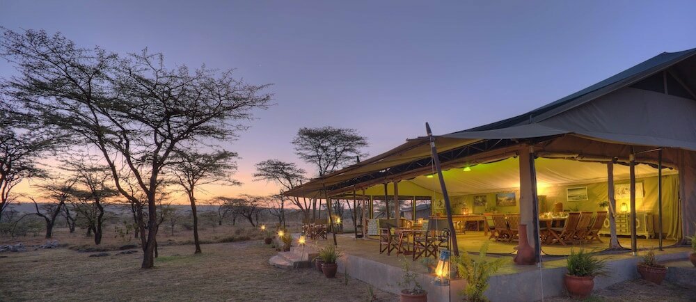 Otel Kicheche Bush Camp, Dünya, foto