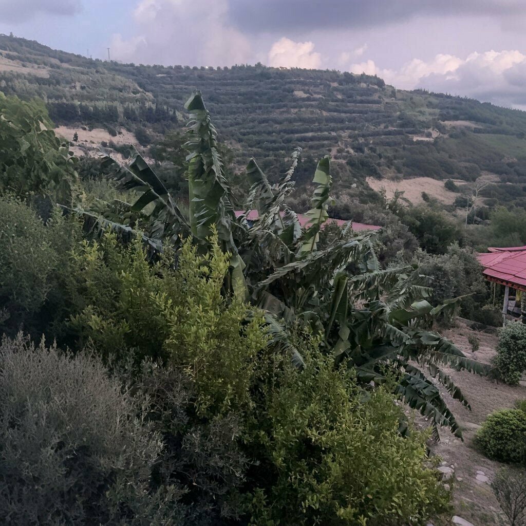 Plaj Samandağ Plajı, Samandağ, foto