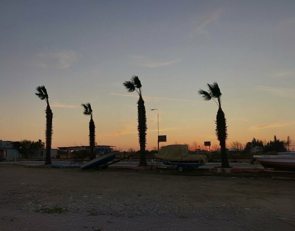 Balık ve deniz ürünleri Ören Balıkçı iskelesi, Dünya, foto