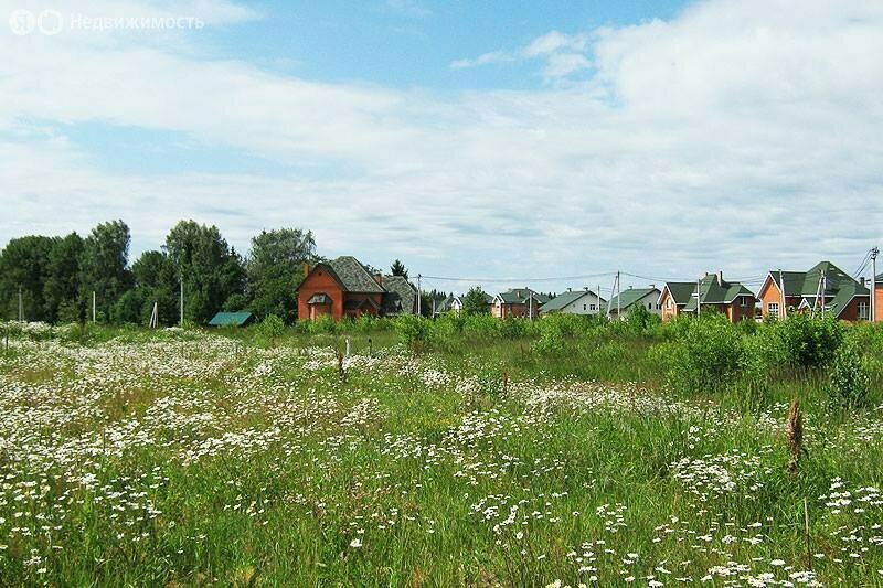 Yazlık yerleşim Родные просторы, Moskova ve Moskovskaya oblastı, foto