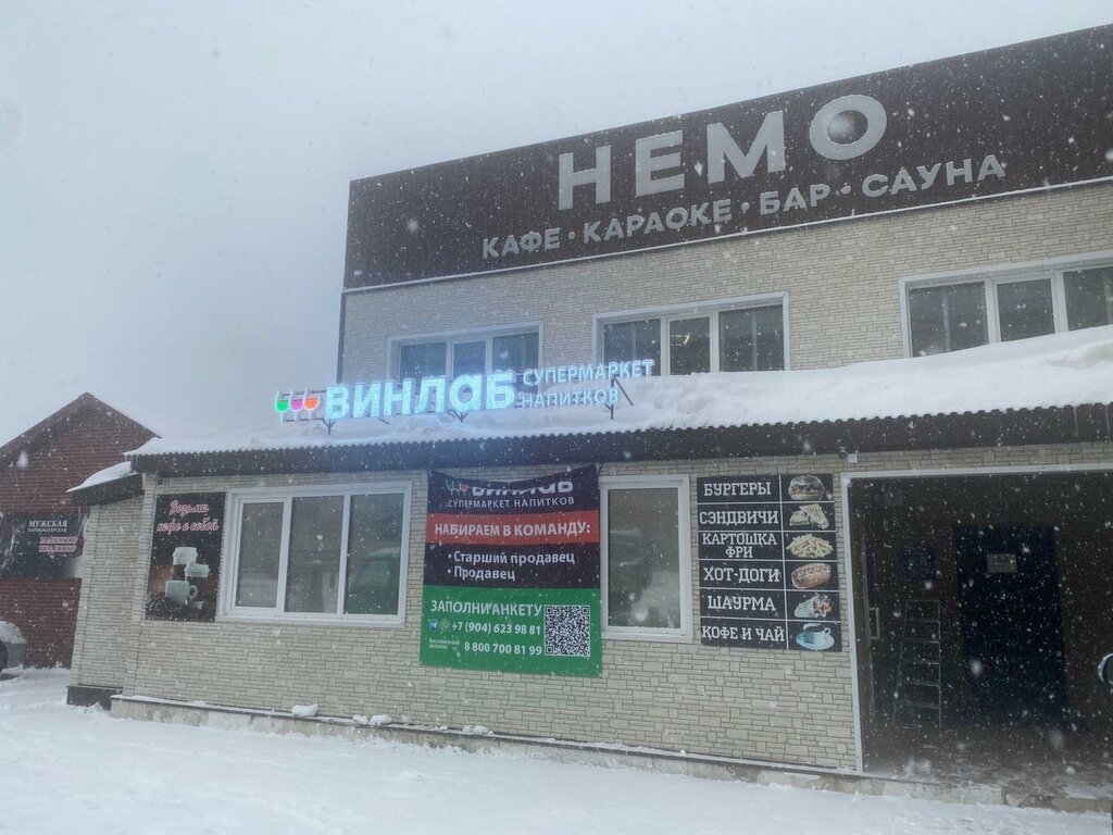 Alkollü içecekler Vinlab, Nevelsk, foto