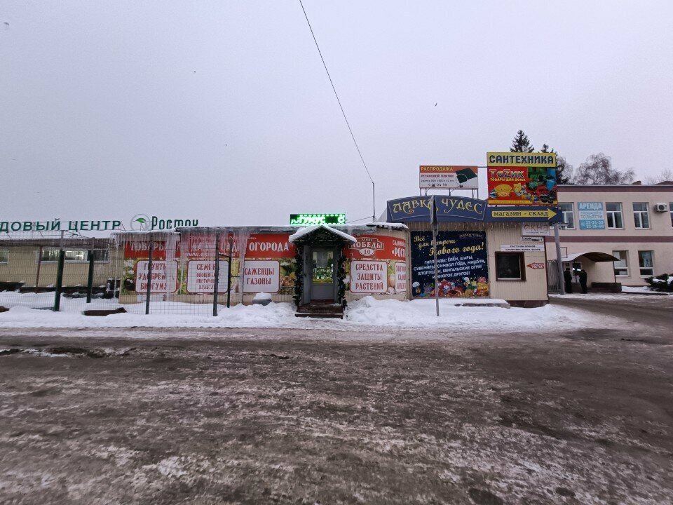 Tohum satan yerler Agrofirma Rostok Grin, Tolyatti (Togliatti), foto