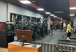 Fitpoint Sports Clubu (İzmir, Torbalı, Muratbey Mah., 3659. Sok., 12C), spor ve jimnastik salonları  Torbalı'dan