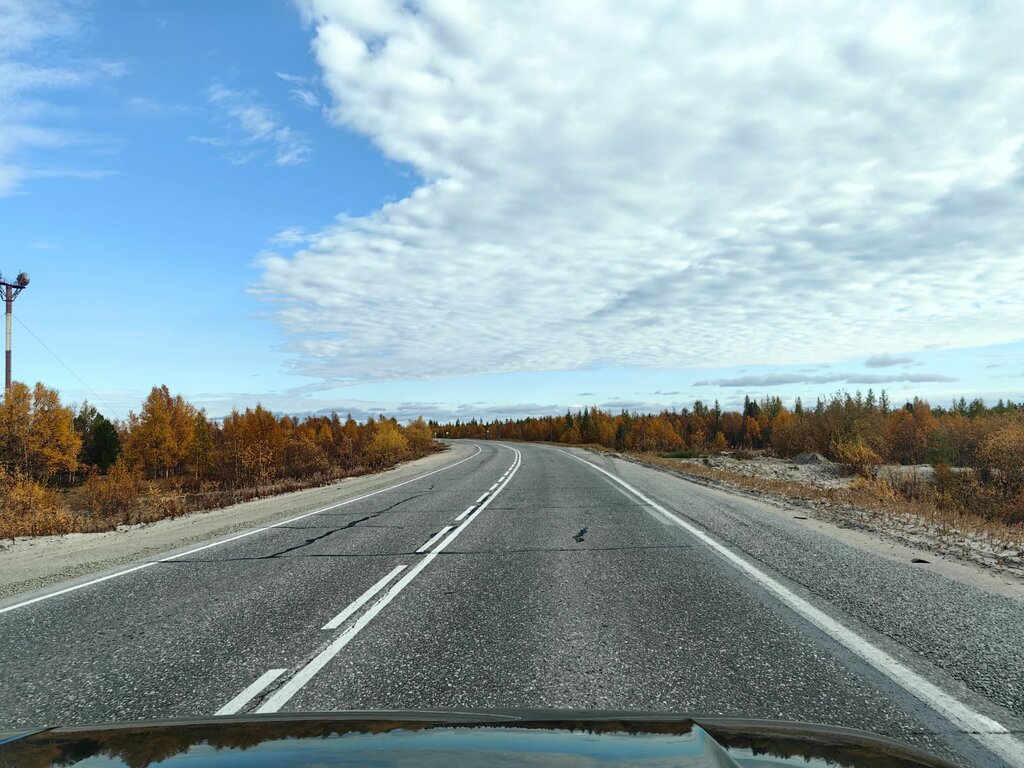 Kargo firmaları InterCargoDelivery, Moskova, foto