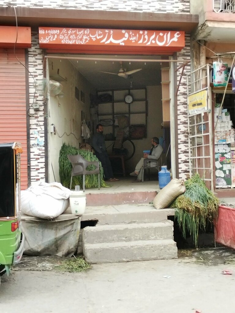 Petshop Imran Birds & Feeds, Rawalpindi, foto