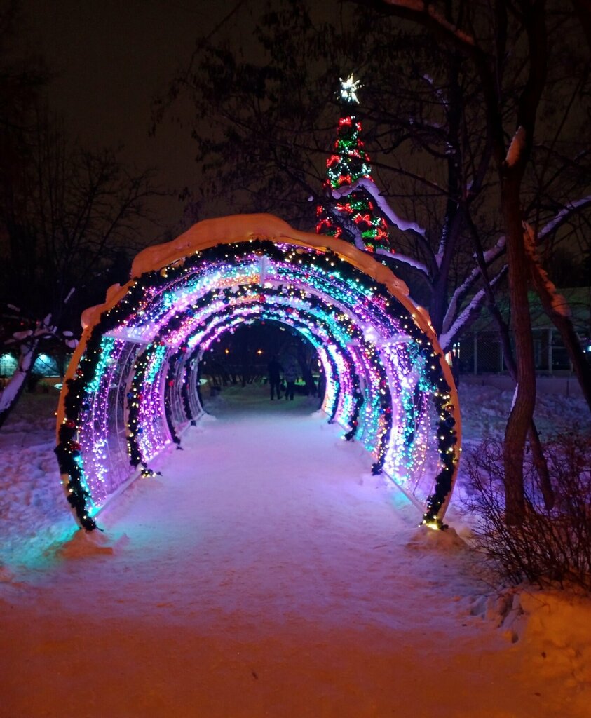 Turistik yerler Арка, Moskova, foto