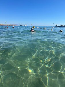 Beach (South Sinai Governorate, Sharm El Sheikh, Naama Bay), plaj  Şarm El‑Şeyh'ten