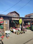 Живые Цветы (Prigorodnaya ulitsa No:193), yapay bitki ve çiçek  Krasnodar'dan