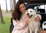 Yalla Pets (Dubai Silicon Oasis Authority, Dubai Silicon Oasis, Mushraif, Dubai), hayvanların taşınması
