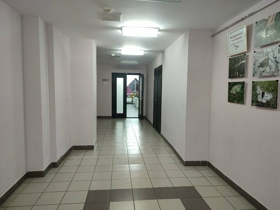 Bilgisayar kursları Изобретатель игр, Cheboksary, foto