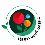 Цветущий оазис (Vodopyanova Street No:18, Severniy Microdistrict), çiçekçiler  Krasnoyarsk'tan