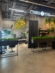 Saç kesimi ve noktası (Andropova Avenue No:27), güzellik salonu  Moskova'dan