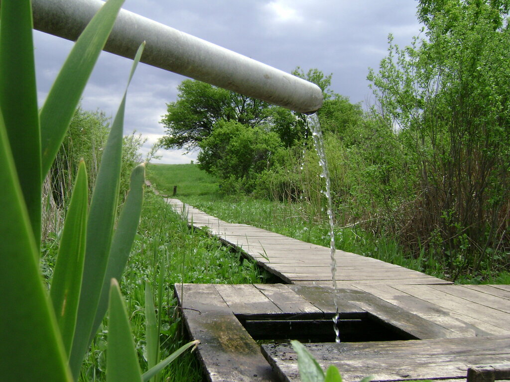 Pınar, çay Spring, stream, Volgogradskaya oblastı, foto