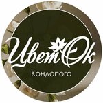 CvetOk (Proletarskaya Street No:3), çiçekçiler  Kondopoga'dan