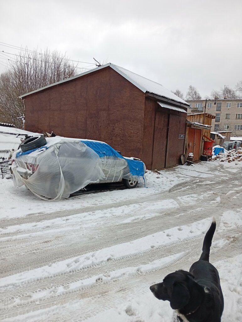 Otomobil servisi Свой, Bezheck, foto