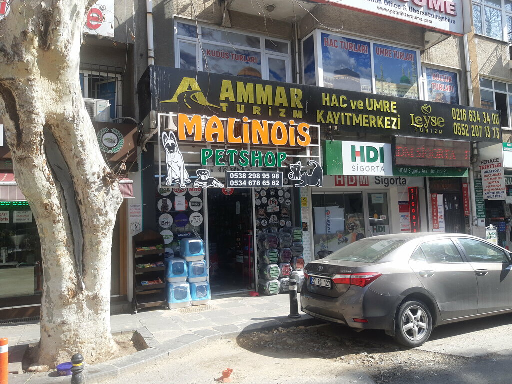 Petshop Malinois Pet Shop, İstanbul, foto