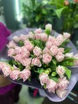 Assyl Bloom (Dostyk Avenue No:107), çiçek teslimatı  Almatı'dan