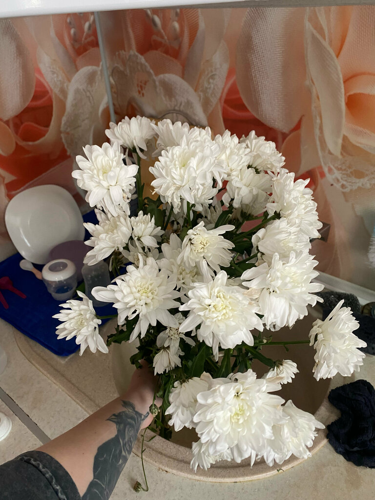 Çiçekçiler Salon tsvetov Orkhideya, Novokuznetsk, foto