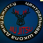 Central school jiu-jiutsu (Yubileyniy Boulevard No:30), spor okulları  Nijni Novgorod'dan