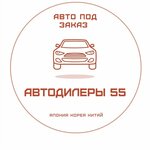 Автодилеры 55 (ulitsa Nakhimova No:76А, posyolok Amurskiy, Omsk), otomobil satış galerileri  Omsk'tan