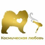 Your home groomer (Donetskaya Street No:34к2), evcil hayvan kuaförleri  Moskova'dan