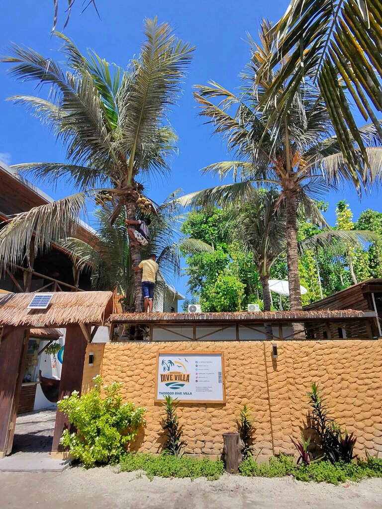 Otel Dive Villa Thoddoo, Kuzey Ari, foto