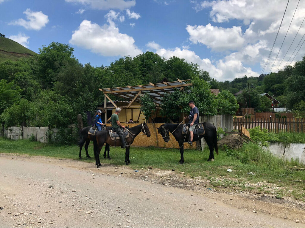 At ve binicilik kulüpleri Tau Horsing, Kislovodsk, foto