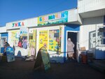 Башмачек (Veselovskogo Street No:62А), çocuk ayakkabı mağazaları  Saransk'tan