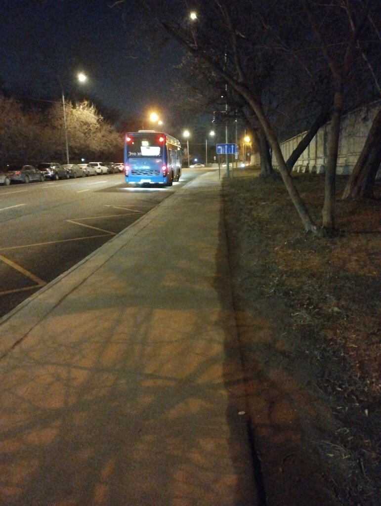 Toplu taşıma durağı Nizhnie Polya Street, Moskova, foto