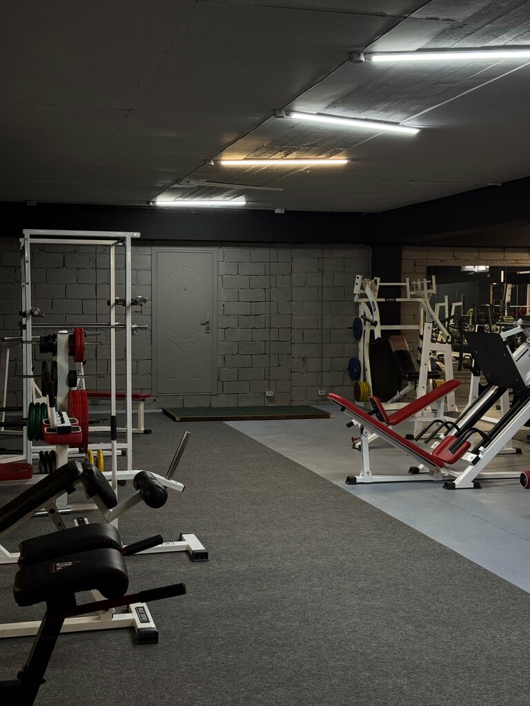Spor ve jimnastik salonları Ballis Gym, Vladikavkaz, foto