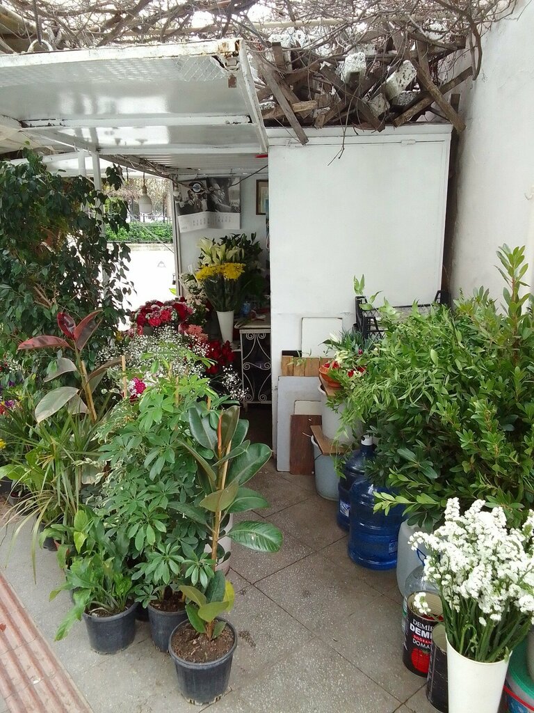 Çiçekçiler Çiçekçi, İzmir, foto