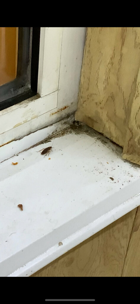 Fast food ШаурмаПица, Kazan, foto