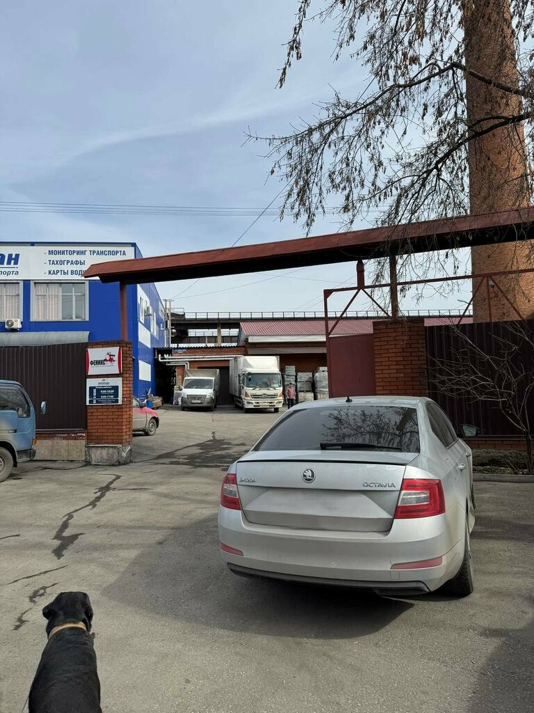 Otomobil servisi Horse power service, Novokuznetsk, foto