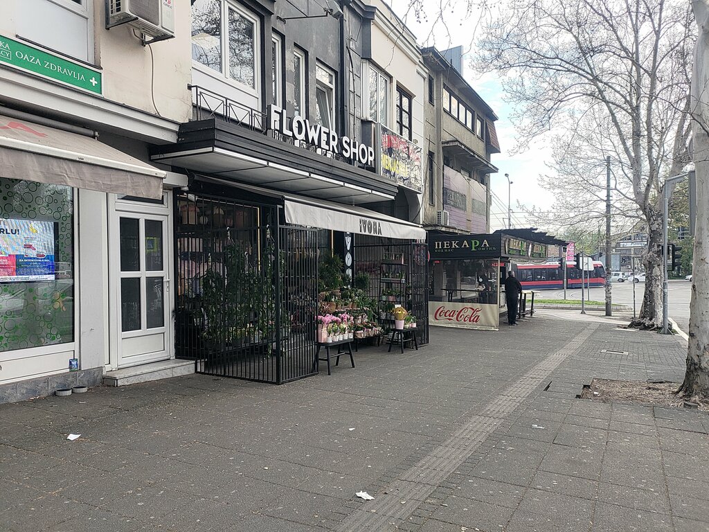 Fidan yetiştiriciliği Big Harvest, Belgrad, foto