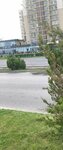 Momo (ulitsa Shymkent Tas Zholy No:9, Jańa Qala shaǵyn aýdany), kafe  Türkistan'dan